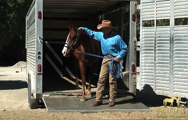 Monty Roberts Equus Online University